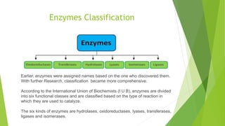 ENZYME , CLASSIFICATION AND THEIR MECHANISM | PPTX