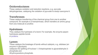 ENZYME , CLASSIFICATION AND THEIR MECHANISM | PPTX