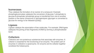 ENZYME , CLASSIFICATION AND THEIR MECHANISM | PPTX