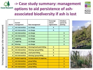Professor Alison Hester, head of safe guarding | PPT