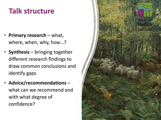 Professor Alison Hester, head of safe guarding | PPT