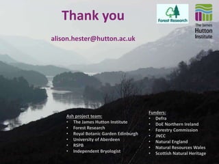 Professor Alison Hester, head of safe guarding | PPT