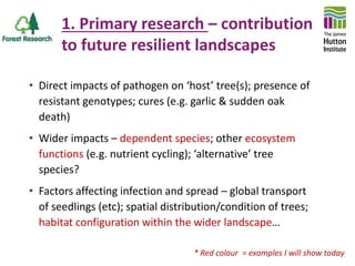 Professor Alison Hester, head of safe guarding | PPT