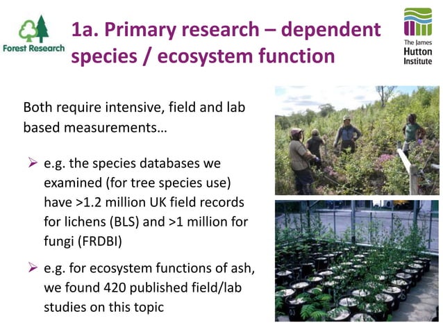 Professor Alison Hester, head of safe guarding | PPT
