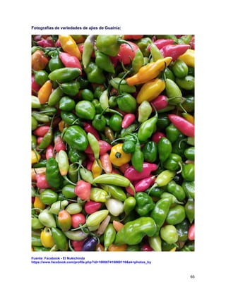 AJIES NATIVOS DE COLOMBIA I - AJIES AMAZONICOS.pdf