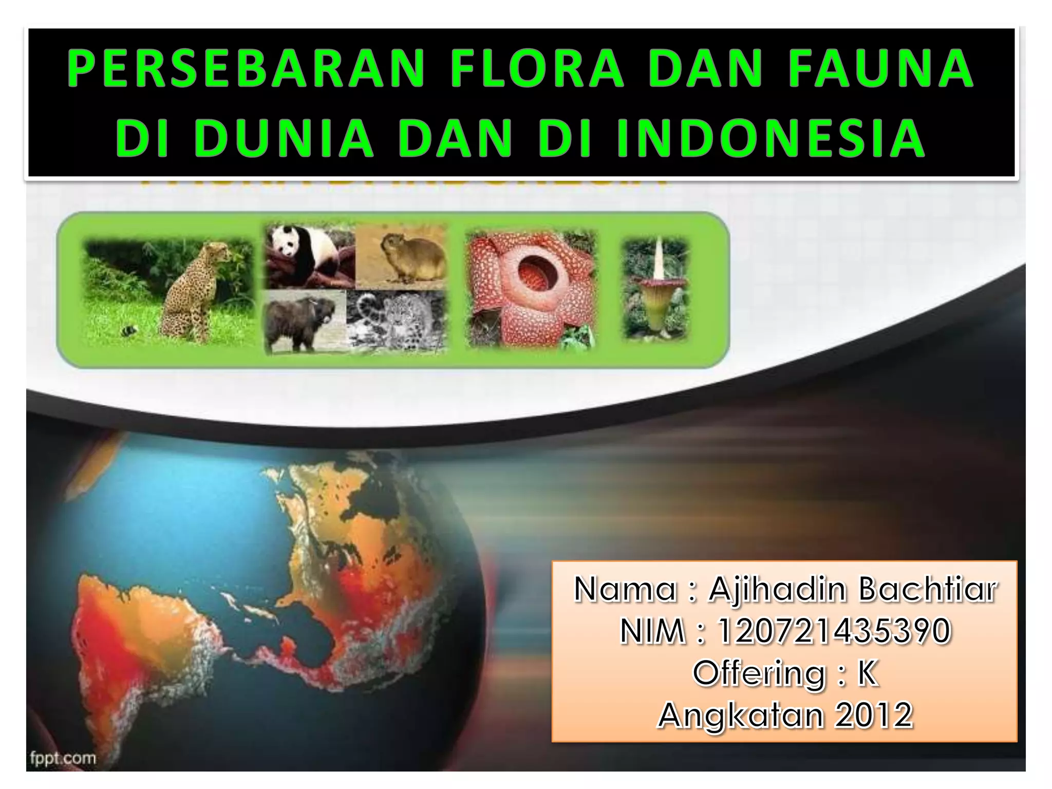 Ajihadin bachtiar persebaran flora dan fauna | PPSX