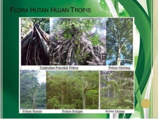 Ajihadin bachtiar persebaran flora dan fauna | PPSX