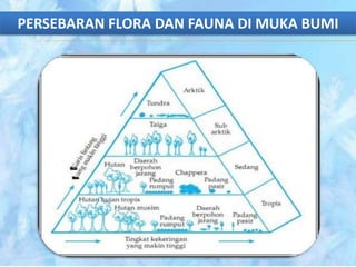 Ajihadin bachtiar persebaran flora dan fauna | PPSX