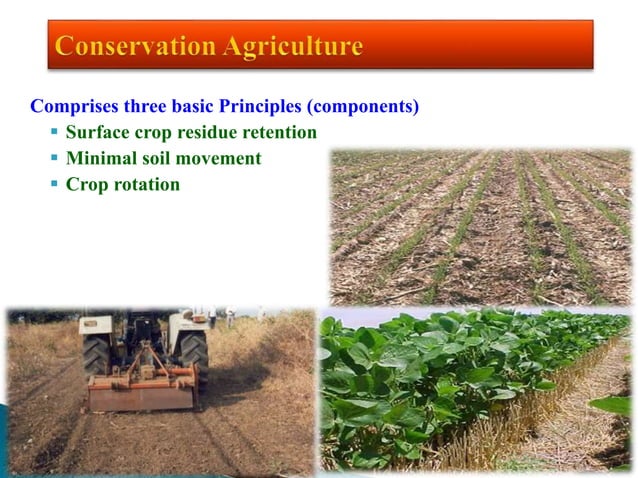 CONSERVATION AGRICULTURE : CONCEPTS, UTILITY AND APPROACHES | PPT ...