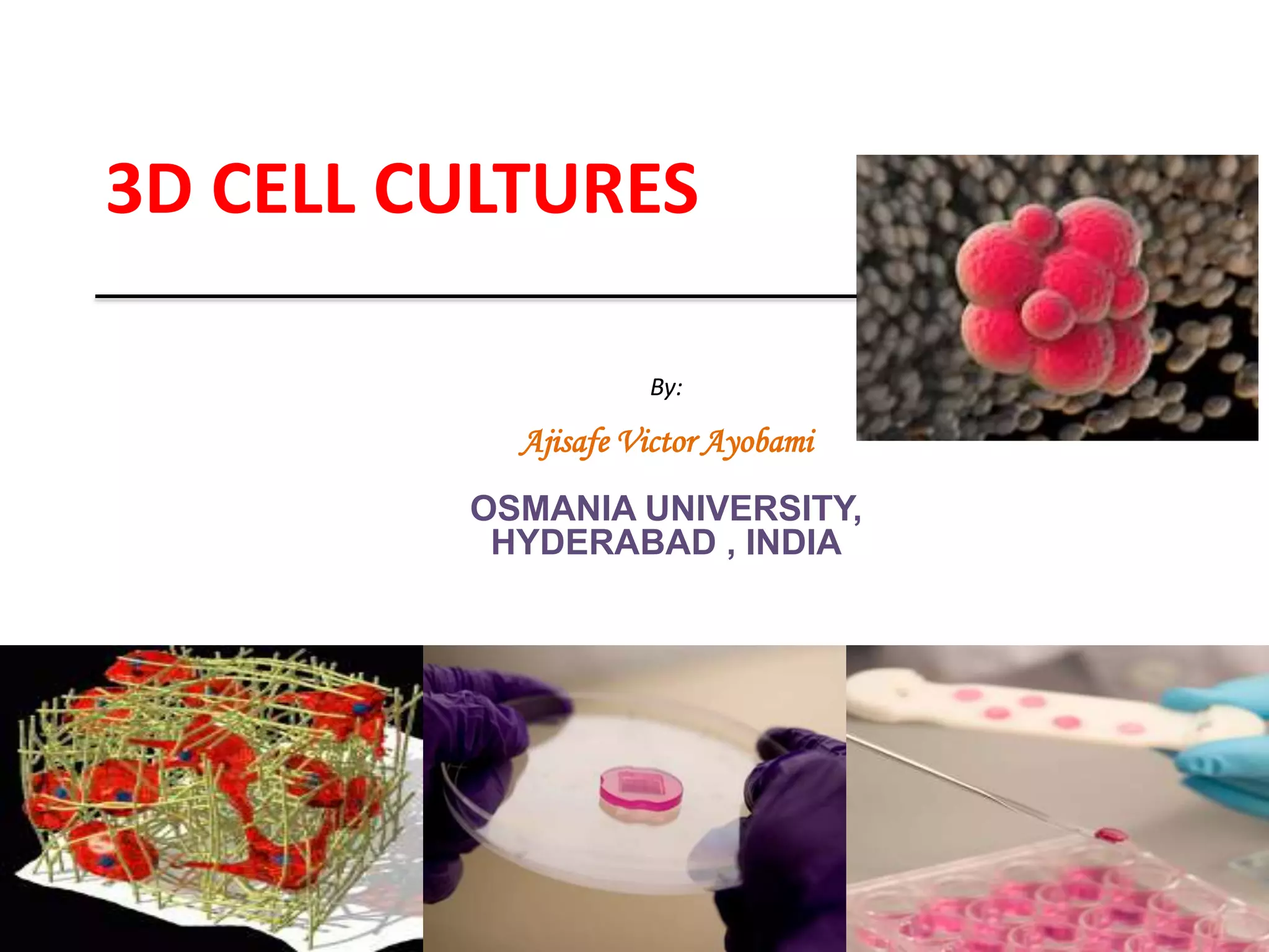 3D cell cultures | PPTX
