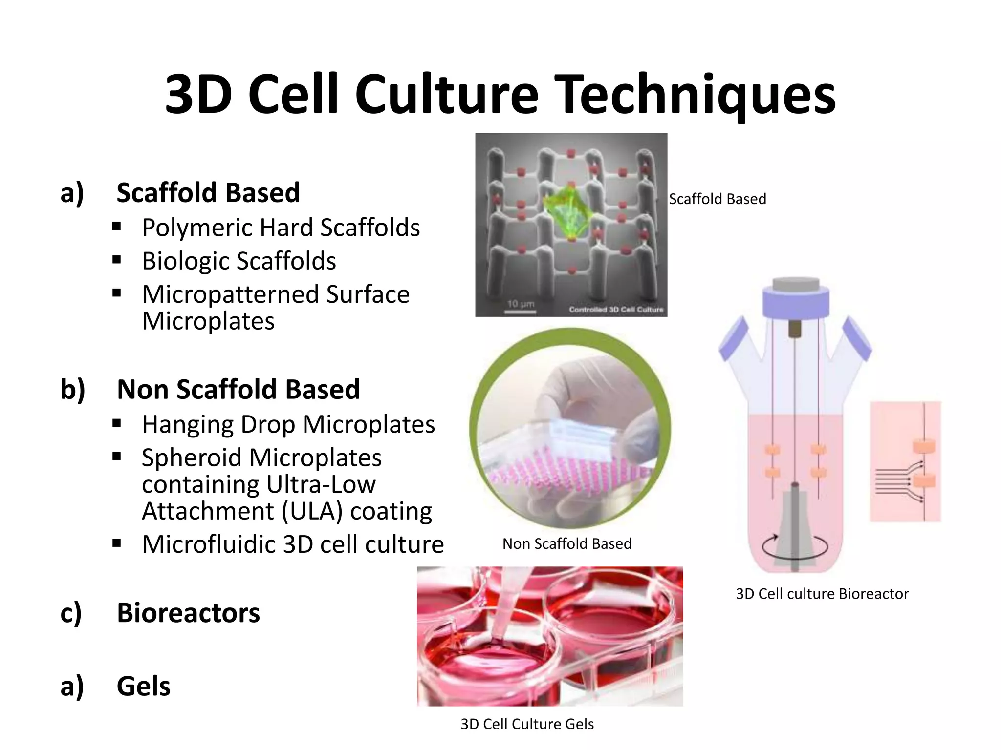 3D cell cultures | PPTX