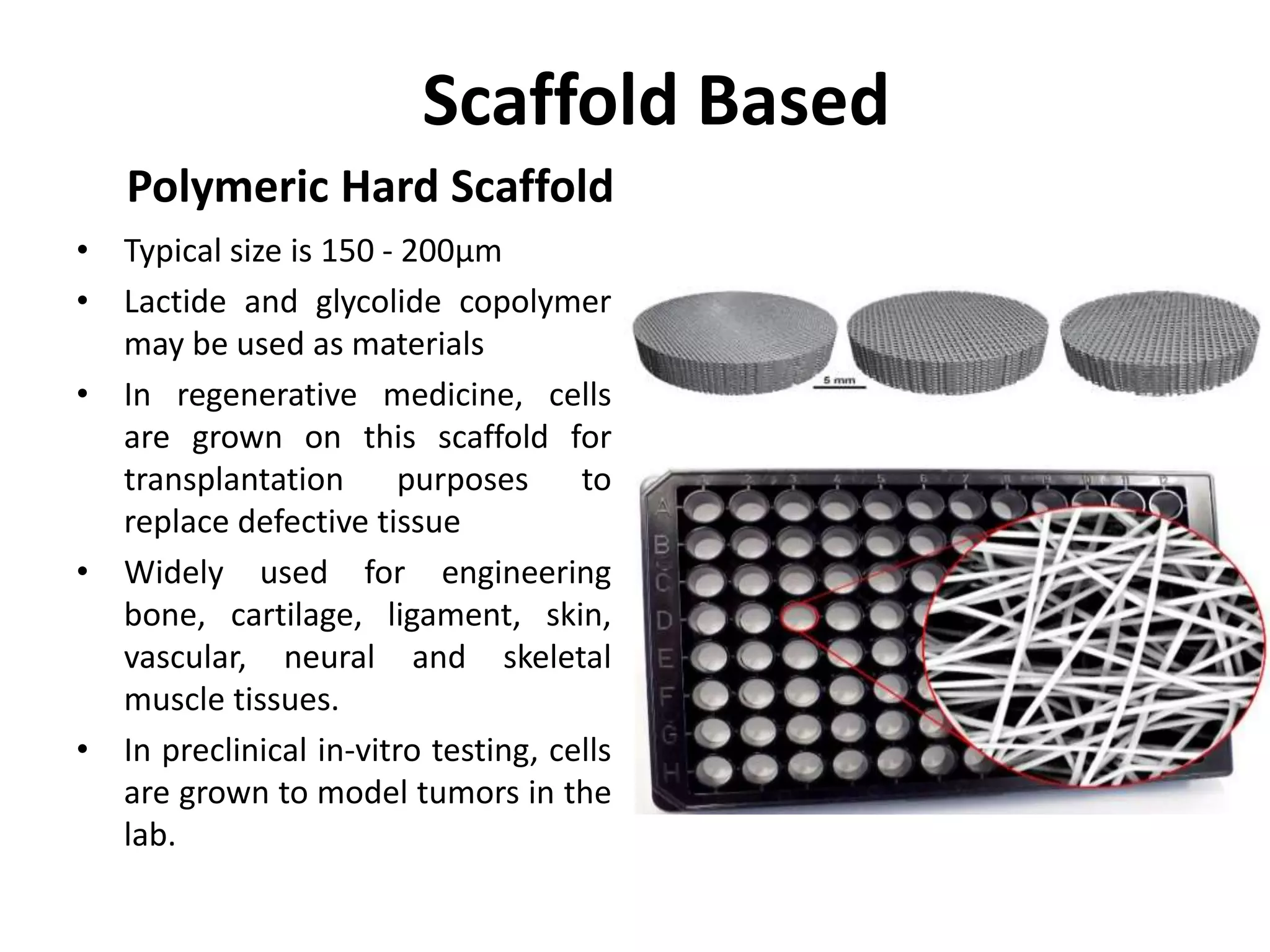 3D cell cultures | PPTX