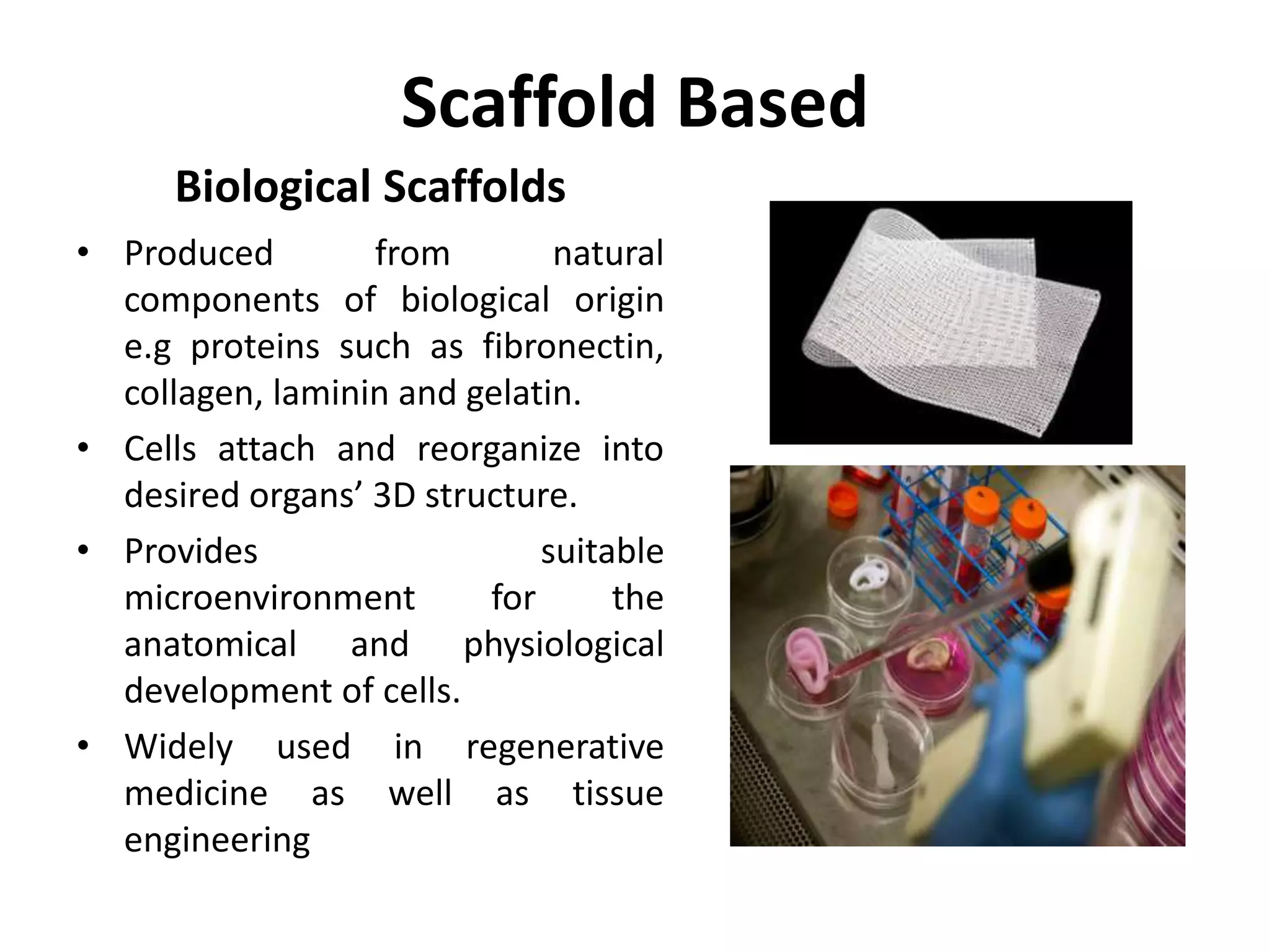 3D cell cultures | PPTX