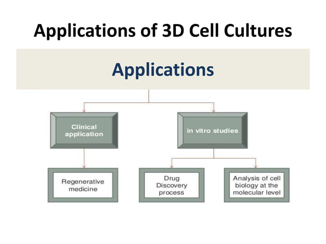 3D cell cultures | PPTX | Biotech and Biomedical Industry | Industries