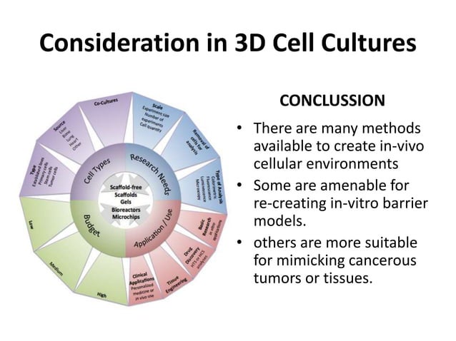 3D cell cultures | PPTX | Biotech and Biomedical Industry | Industries