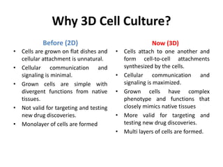 3D cell cultures | PPTX