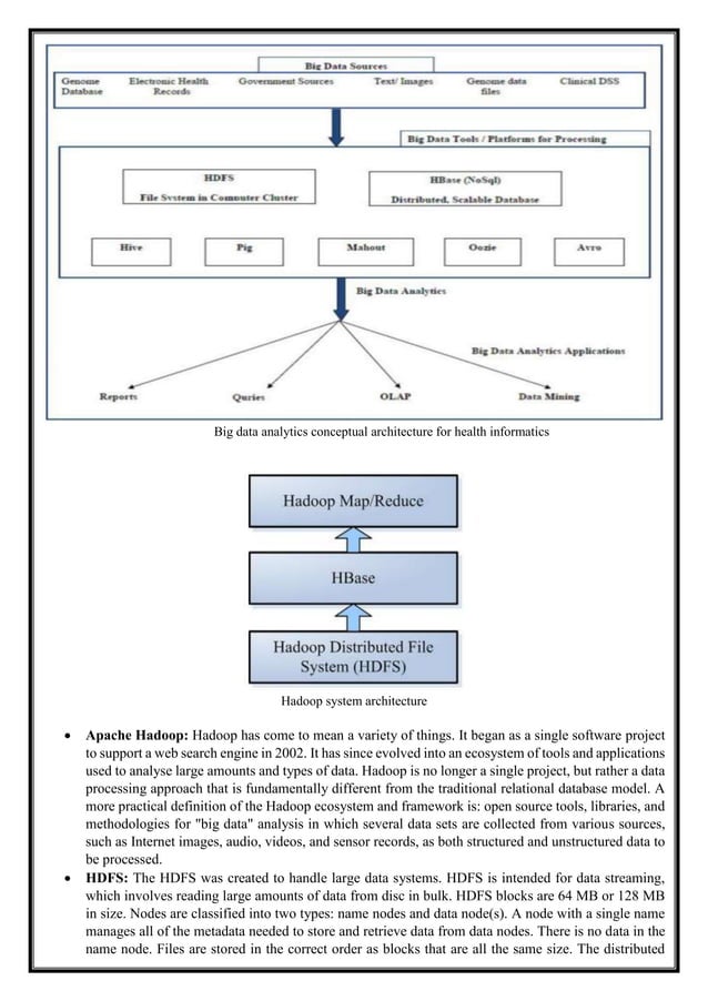 Ajith M Jose_Report1.docx