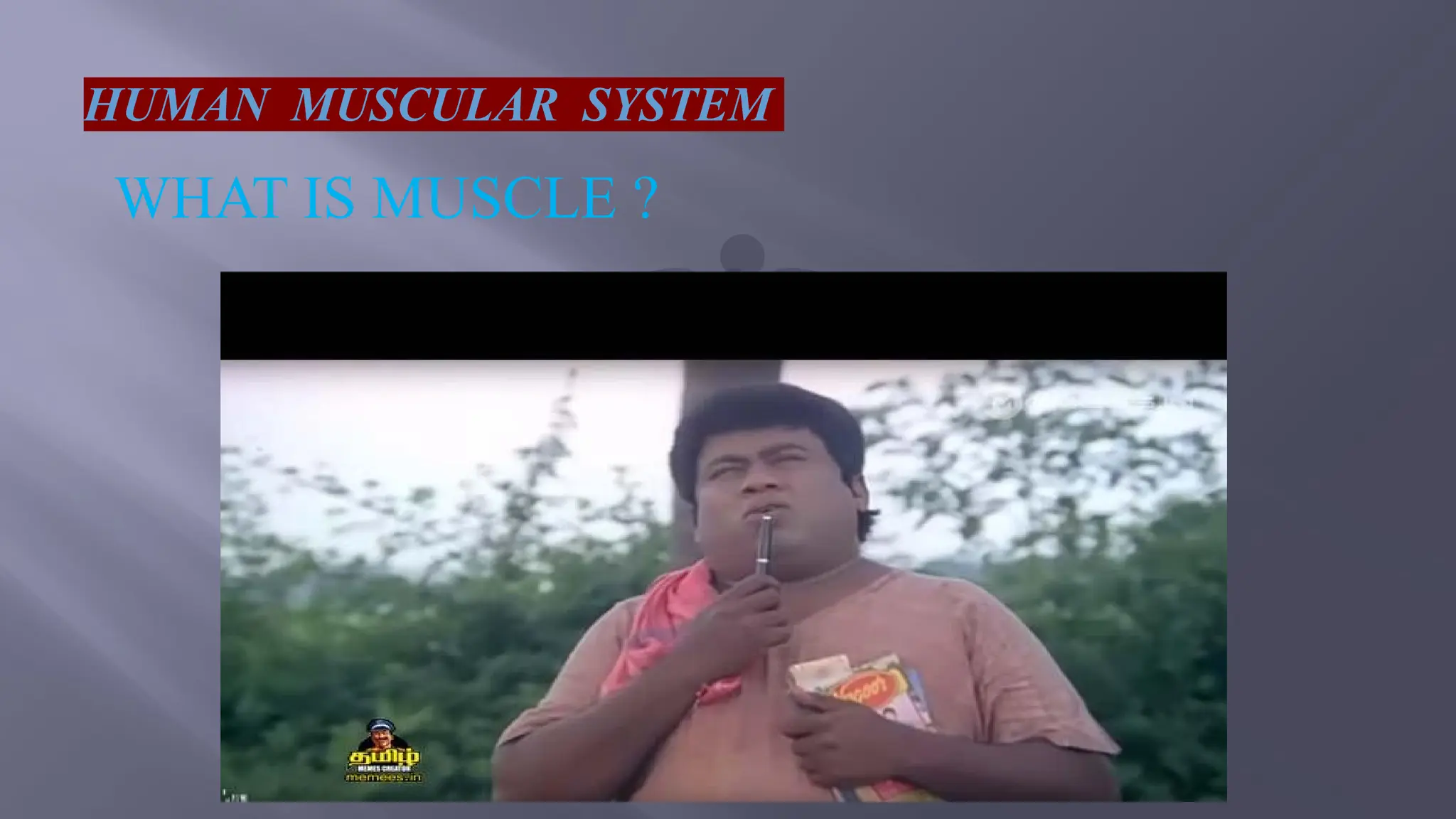 ajith skeletal muscle basics.pptx for anatomy | PPTX