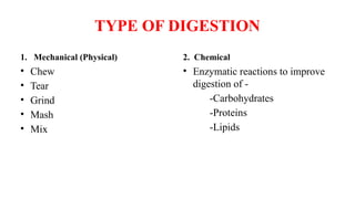 Ajit PPT on Digestive system and its aaplication | PPTX