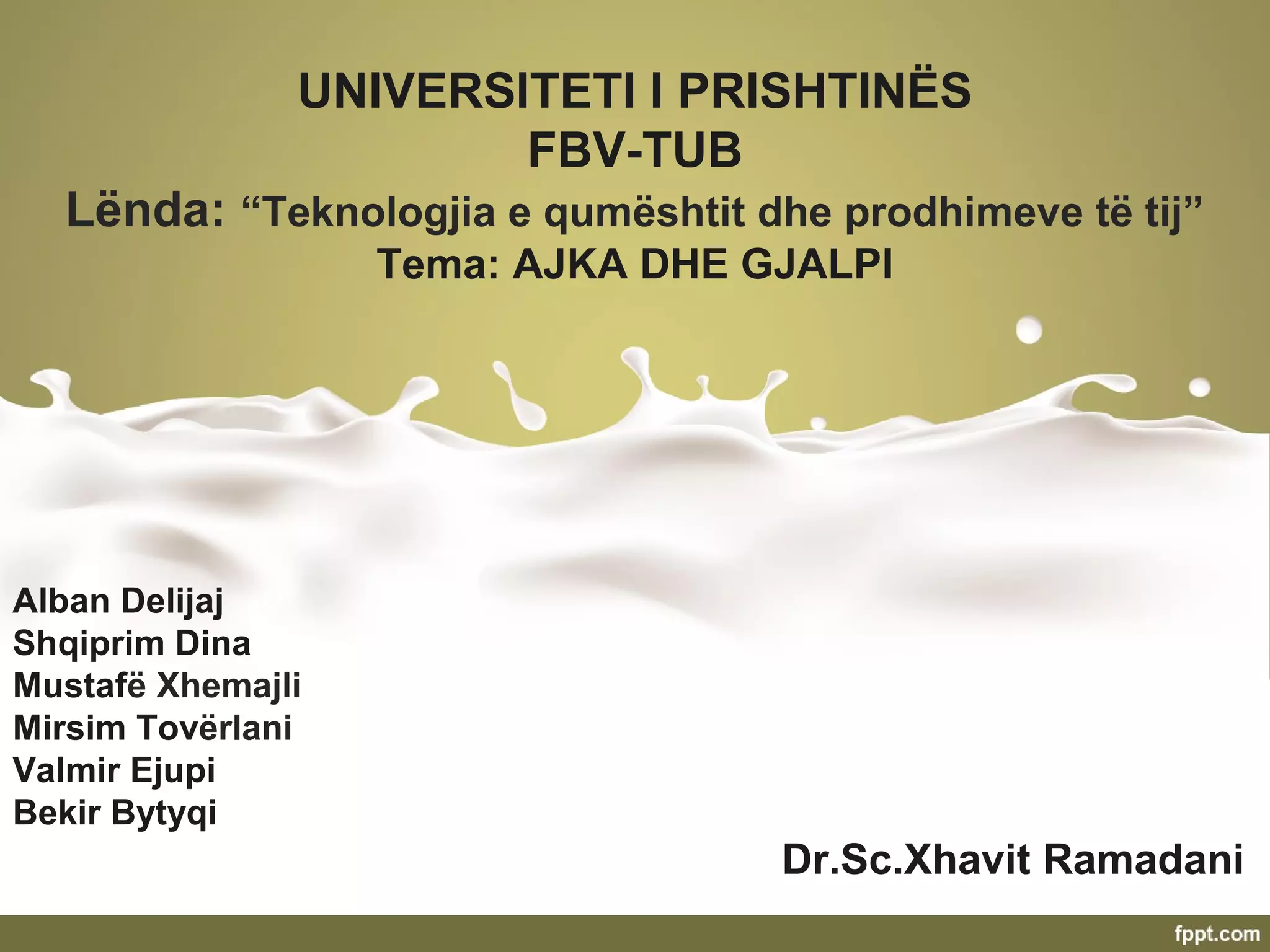 Ajka dhe Gjalpi | PPT