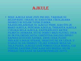 Ajkule | PPT