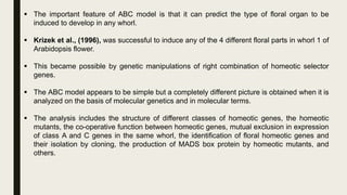 ABC model of flower development crop repro physio | PPTX
