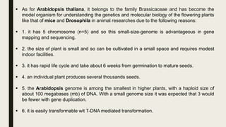 ABC model of flower development crop repro physio | PPTX