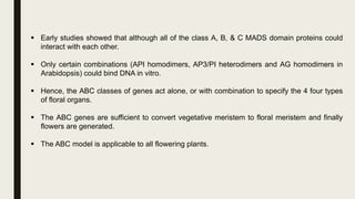 ABC model of flower development crop repro physio | PPTX