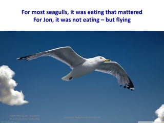 A Jonathan Livingston Seagull Lives Within Us | PPSX