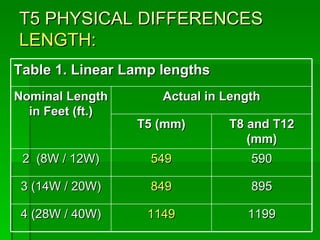 Hyundai T5 Fluorescent | PPT