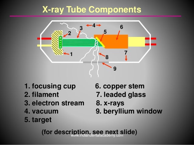 X-ray Production/ dental courses