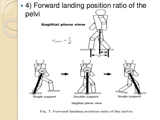 Walking Control Algorithm Of Biped Humanoid Robot On Even Uneven And…