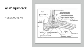 Ajm Sheet: Ankle Fracture | PPTX