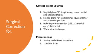 AJM Sheet: Ankle Equinus | PPTX