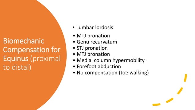AJM Sheet: Ankle Equinus | PPTX
