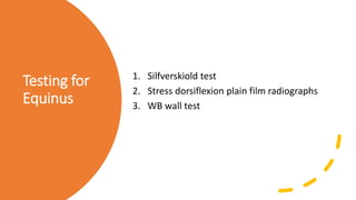 AJM Sheet: Ankle Equinus | PPTX