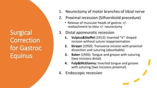 AJM Sheet: Ankle Equinus | PPTX
