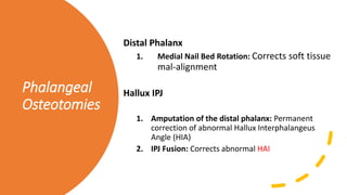 AJM Sheet: HAV Work-up | PPT