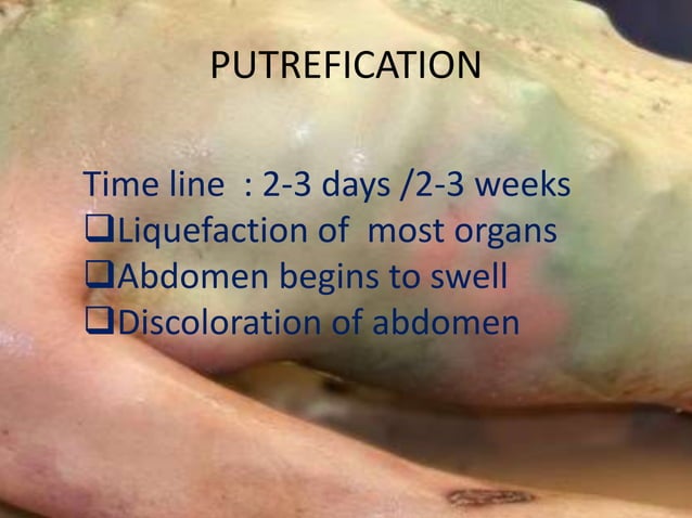 stages of decomposition | PPTX