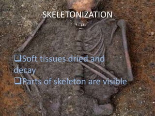 stages of decomposition | PPTX