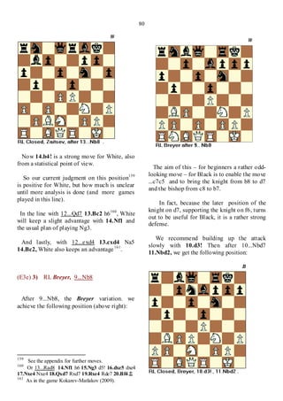 Aj nunn's chess openings 1999 -chessbk sel-chapters | PDF