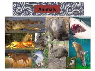 ABORIGINAL ART | PPT
