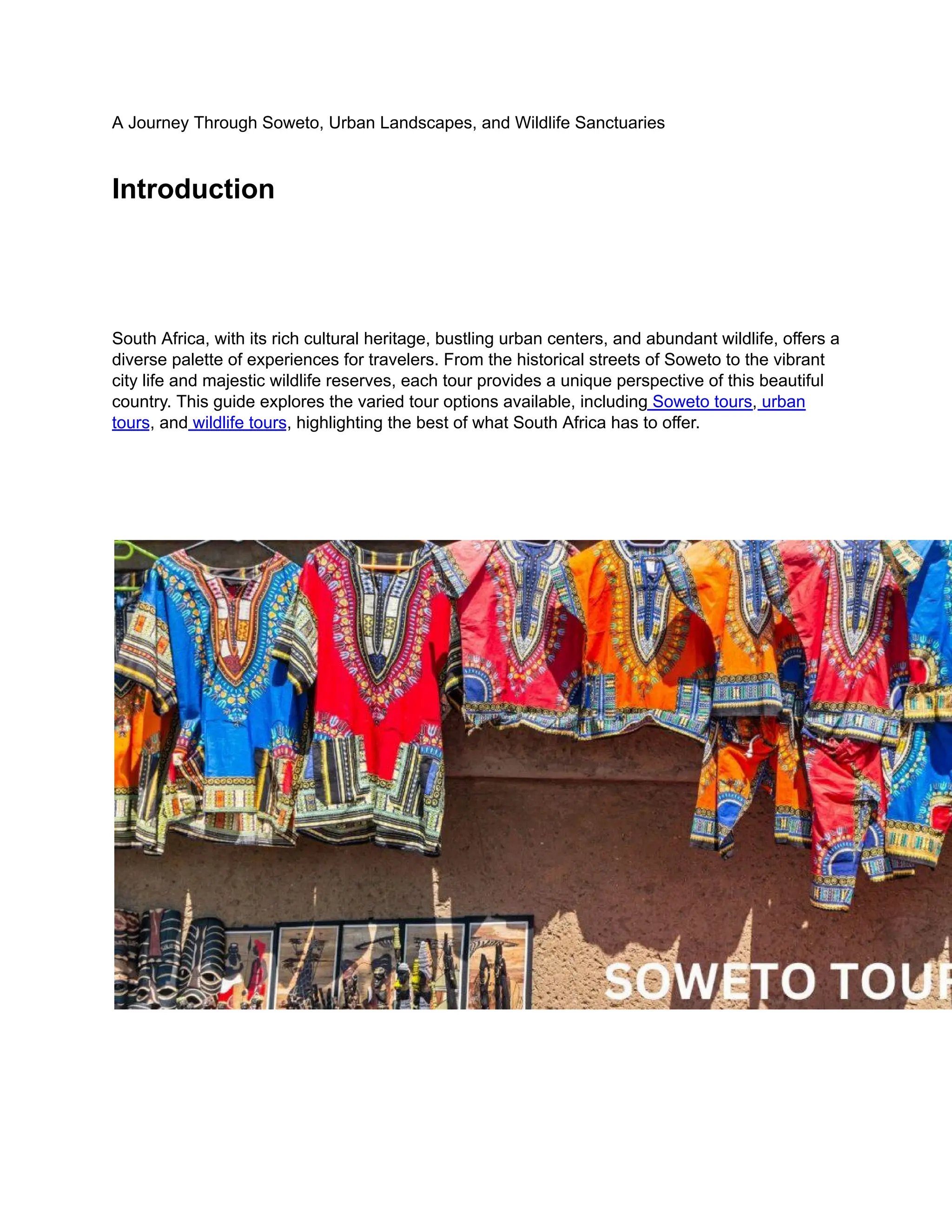 A Journey Through Soweto, Urban Landscapes, and Wildlife Sanctuaries.pdf