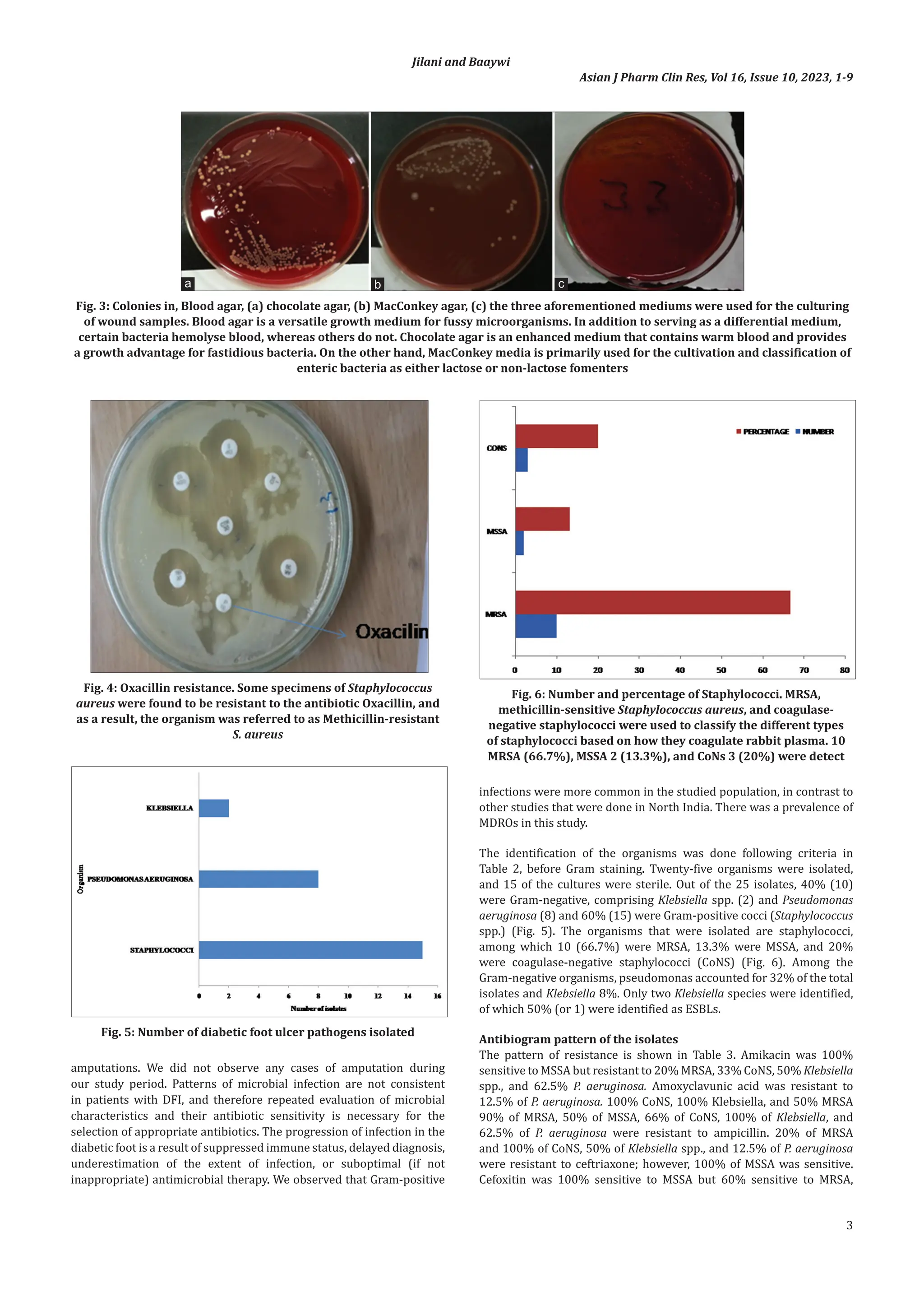 ISOLATION, IDENTIFICATION, AND DETERMINATION OF THE ANTIBIOTIC ...