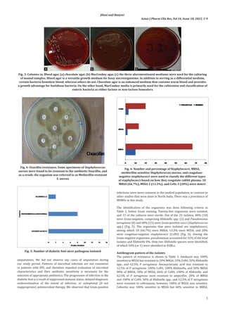 ISOLATION, IDENTIFICATION, AND DETERMINATION OF THE ANTIBIOTIC SUSCEPTIBILITY PATTERN OF ...