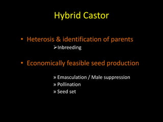 Caster pollination | PPTX