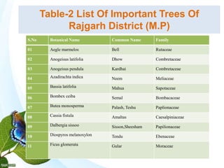 Dye and Yielding Plants M.P. Dr. Azra khan PH.D. Research Paper | PPTX