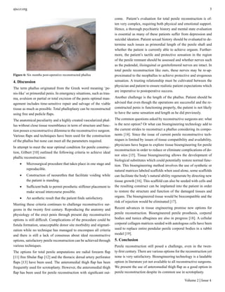 Successful Phalloplasty