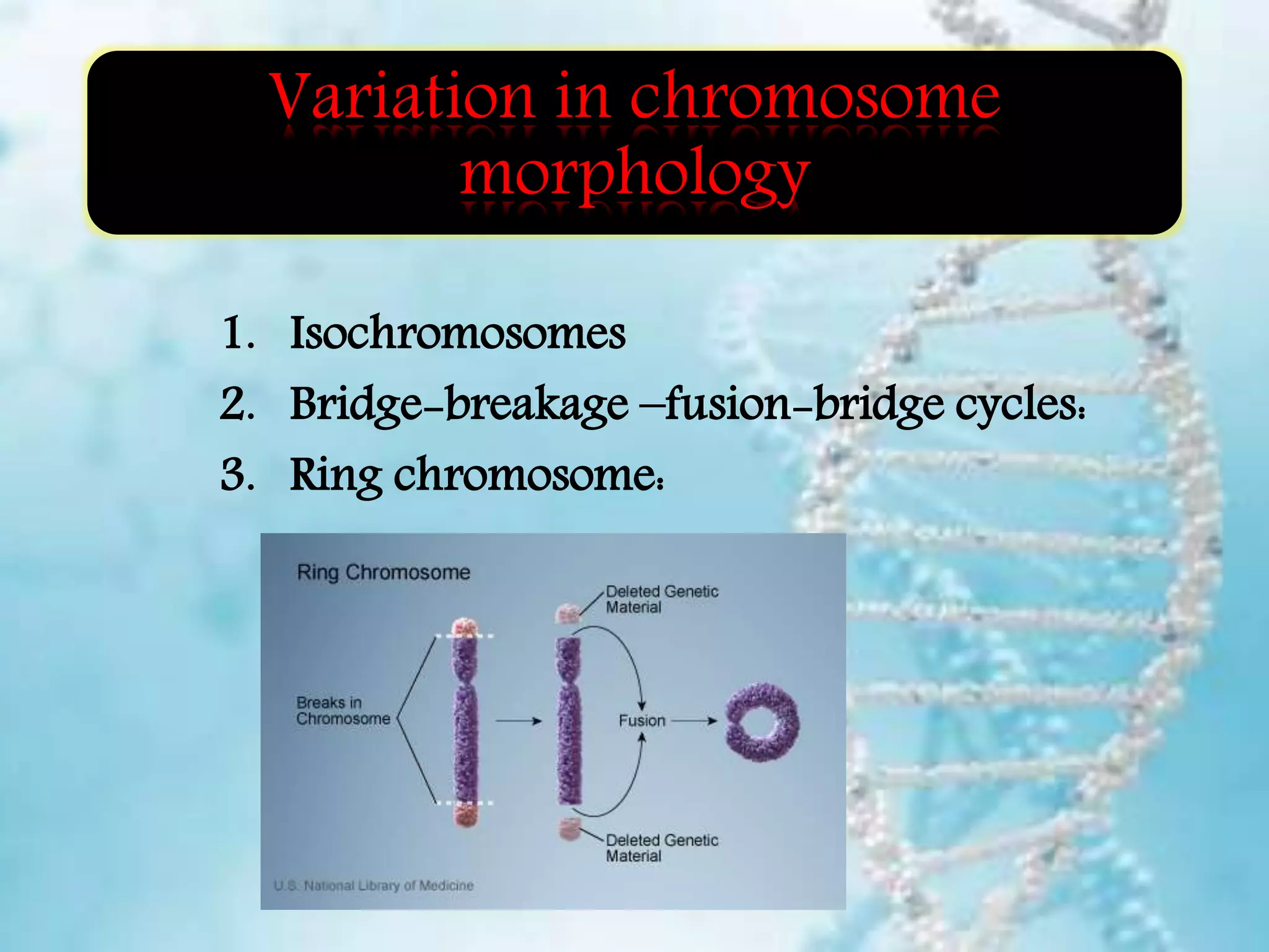 Advanced Techniques In Molecular Cytogenetics Karyotyping, FISH, CGH ...