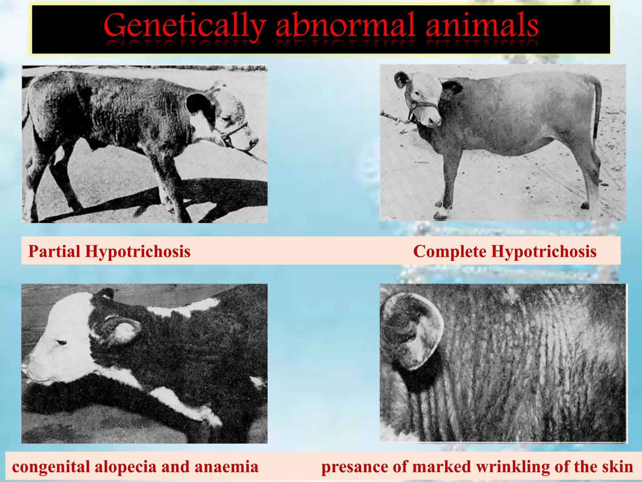 Advanced Techniques In Molecular Cytogenetics Karyotyping, FISH, CGH ...